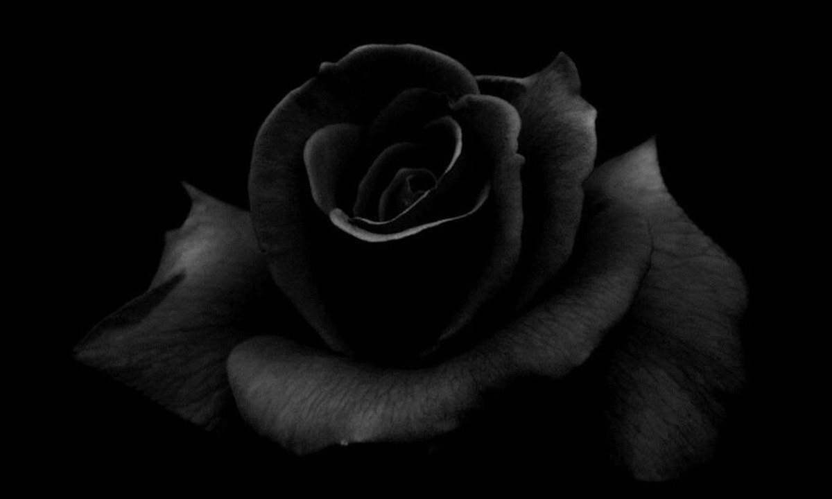 «Μαύρο Ρόδο»: Άρωμα από «Άγριες Μέλισσες» στη νέα σειρά του MEGA